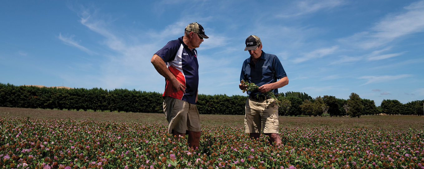 Cropping programme and partnership delivers | AgOnline