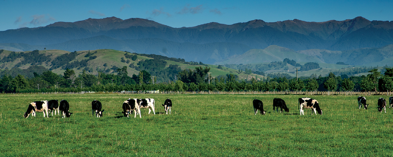 Protect pasture from pests | AgOnline