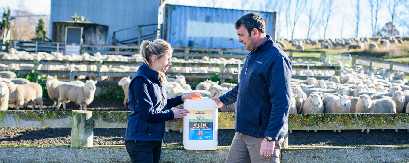 Flystrike Protection Options | AgOnline