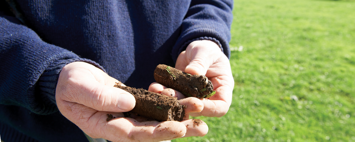 Spring crop paddock selection | AgOnline