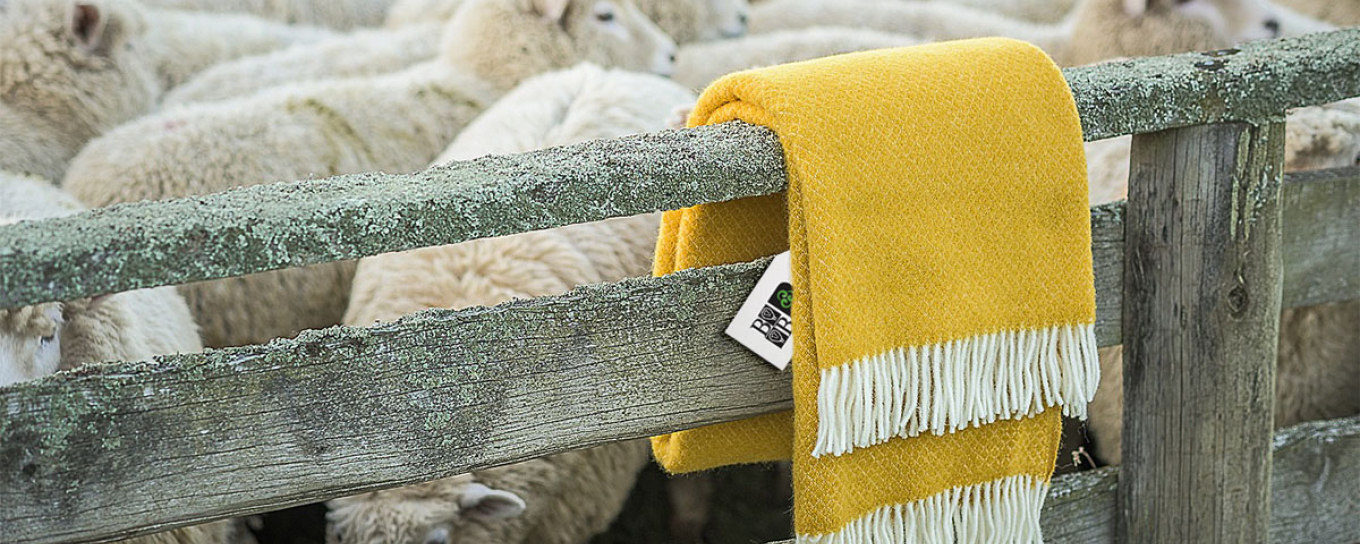 Wool News: New Wool Integrity declaration coming soon | AgOnline