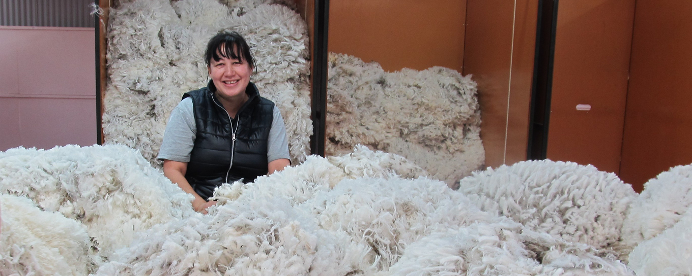 The New Zealand Wool Classers Association | AgOnline
