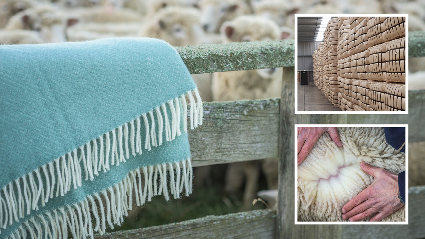 Wool News: Basics in our favour as world wakes up to wool | AgOnline