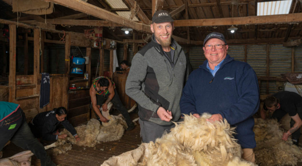 Wool Street Journal: Innovative new direction provides compelling ...