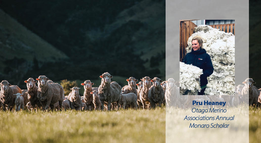 Wool Street Journal: Sponsorship helps expand understanding for Merino ...