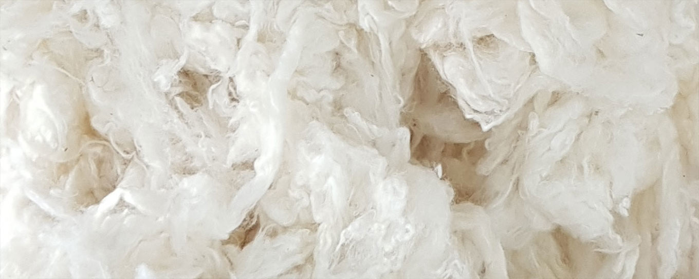 Research results in new uses for coarse wool could revolutionise the ...