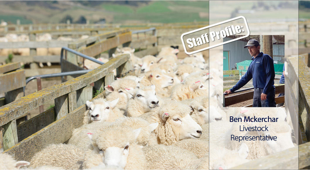 Farmer's Patch | AgOnline