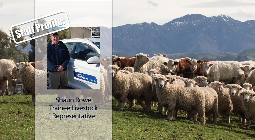 Farmer's Patch | AgOnline