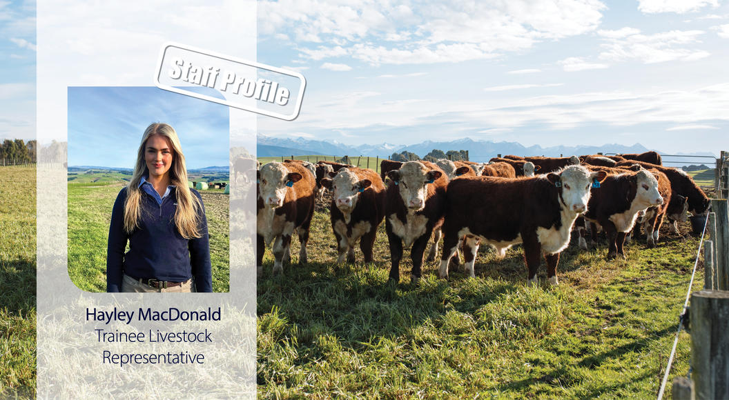 News and Updates | AgOnline