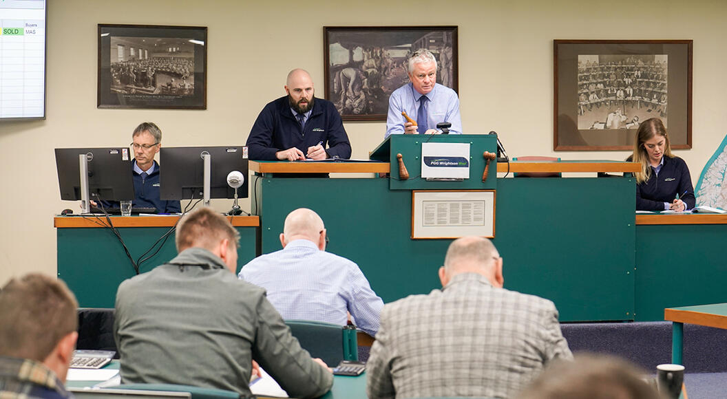 Wool Street Journal: Website Refresh | AgOnline